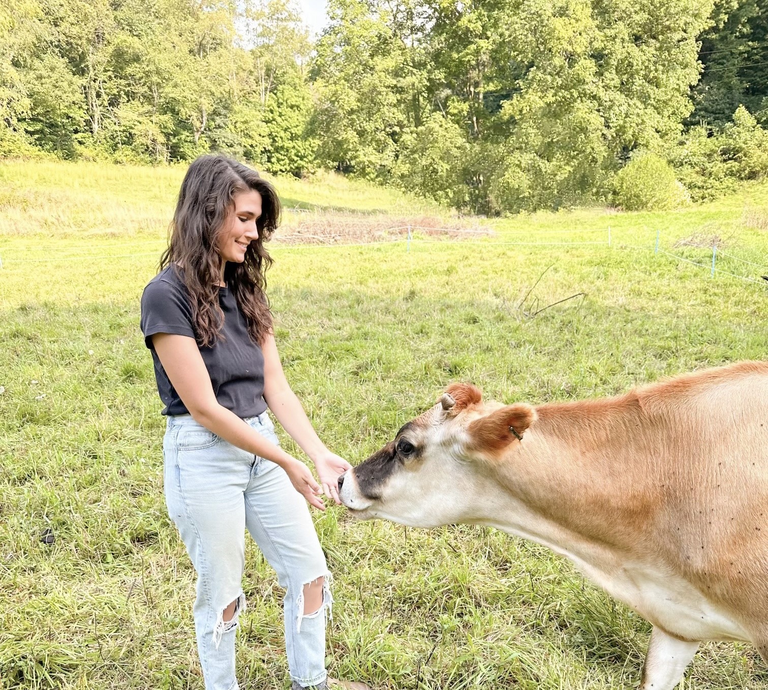 How Much Time Does Homesteading Really Take? - At Home on the Homestead