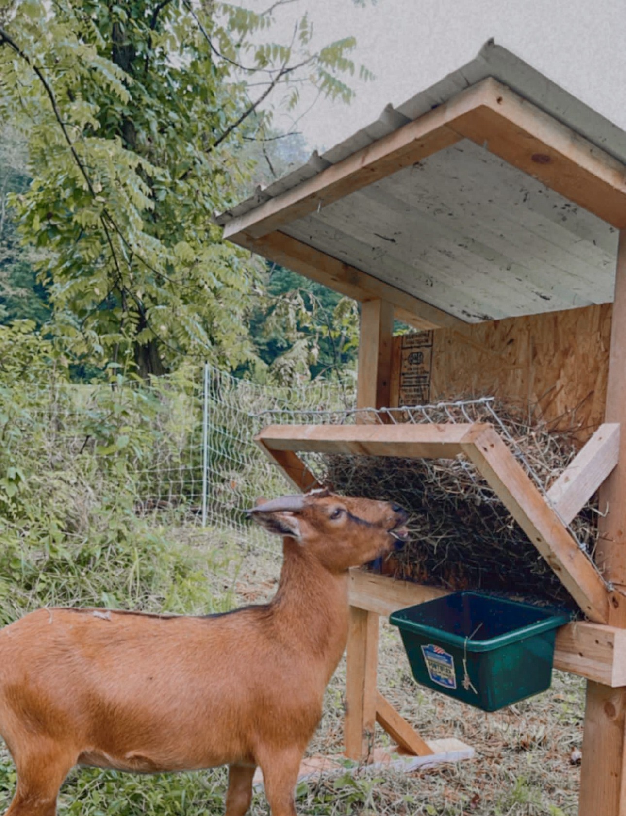 Fall Homestead Checklist: Preparing for Winter - At Home on the Homestead