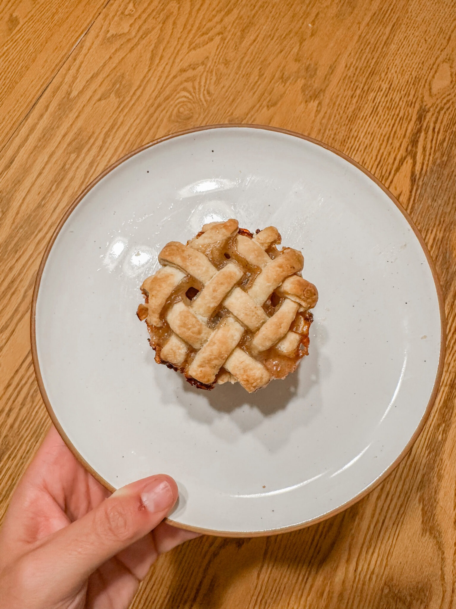 Muffin Tin Mini Pies Recipe (Apple & Pumpkin Pies) - At Home on the ...