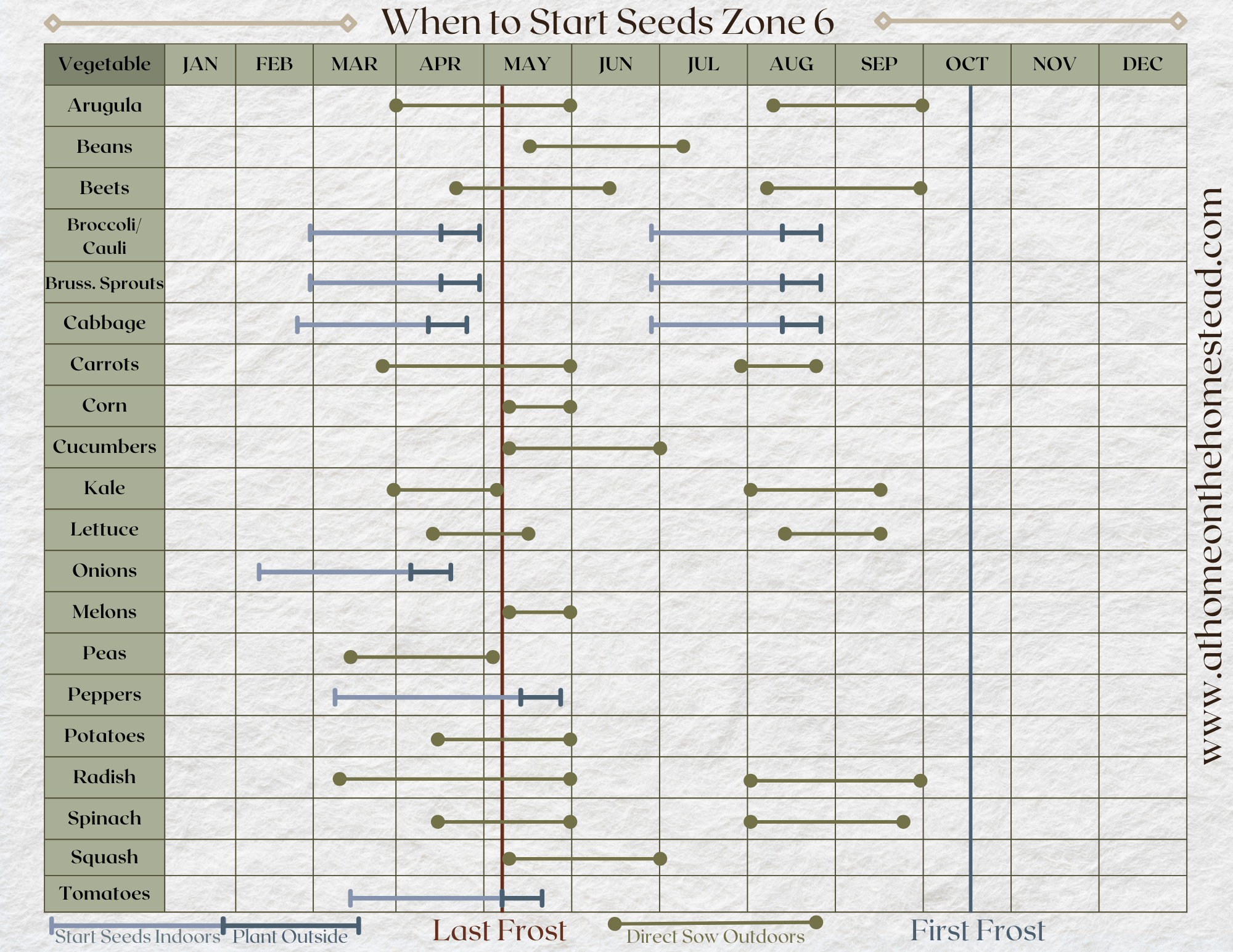 When to Start Seeds Indoors Zone 6: Spring Seed Starting - At Home on ...