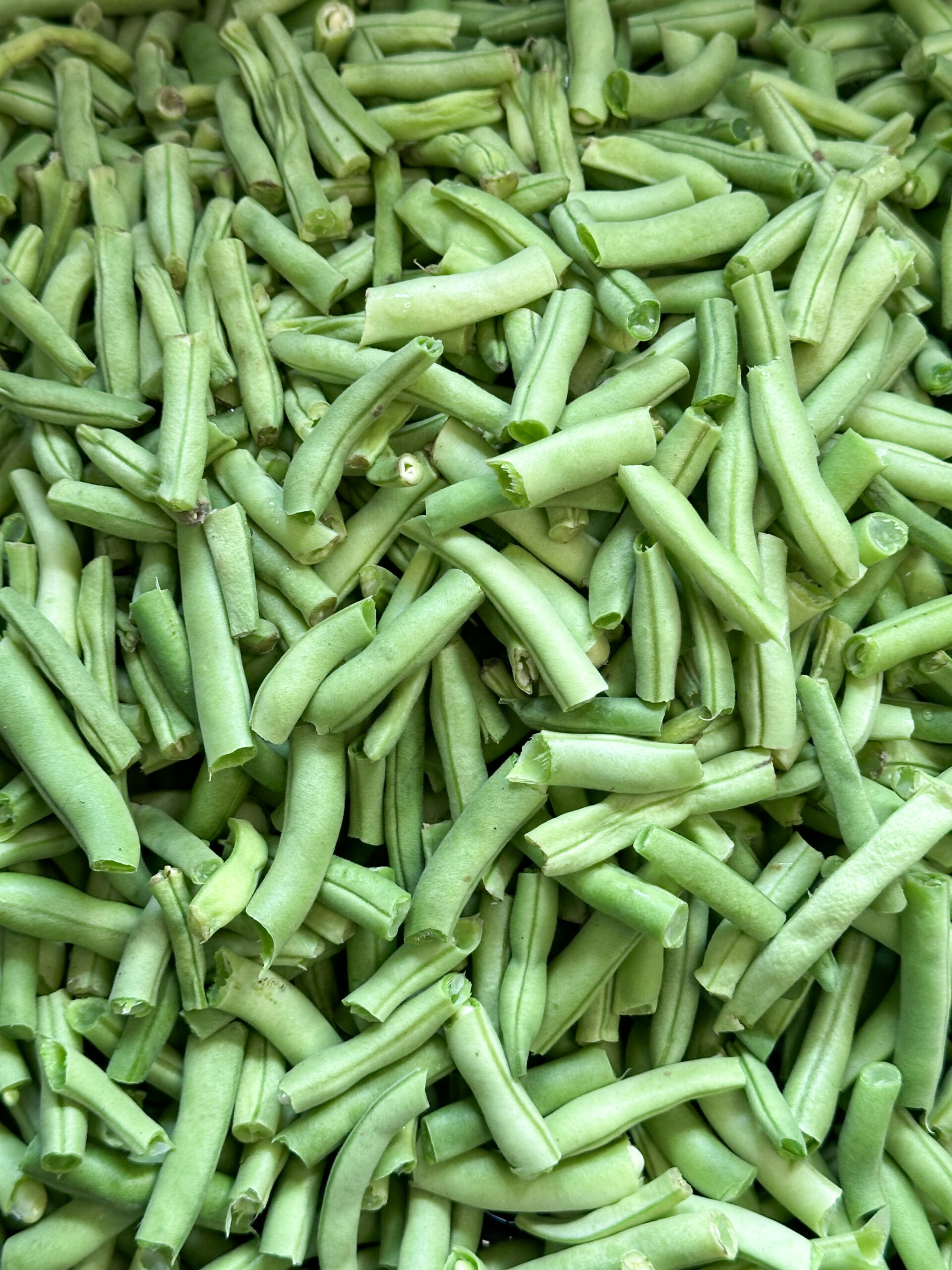 Canning Green Beans the Old-Fashioned Way: Easy How to Guide - At Home ...
