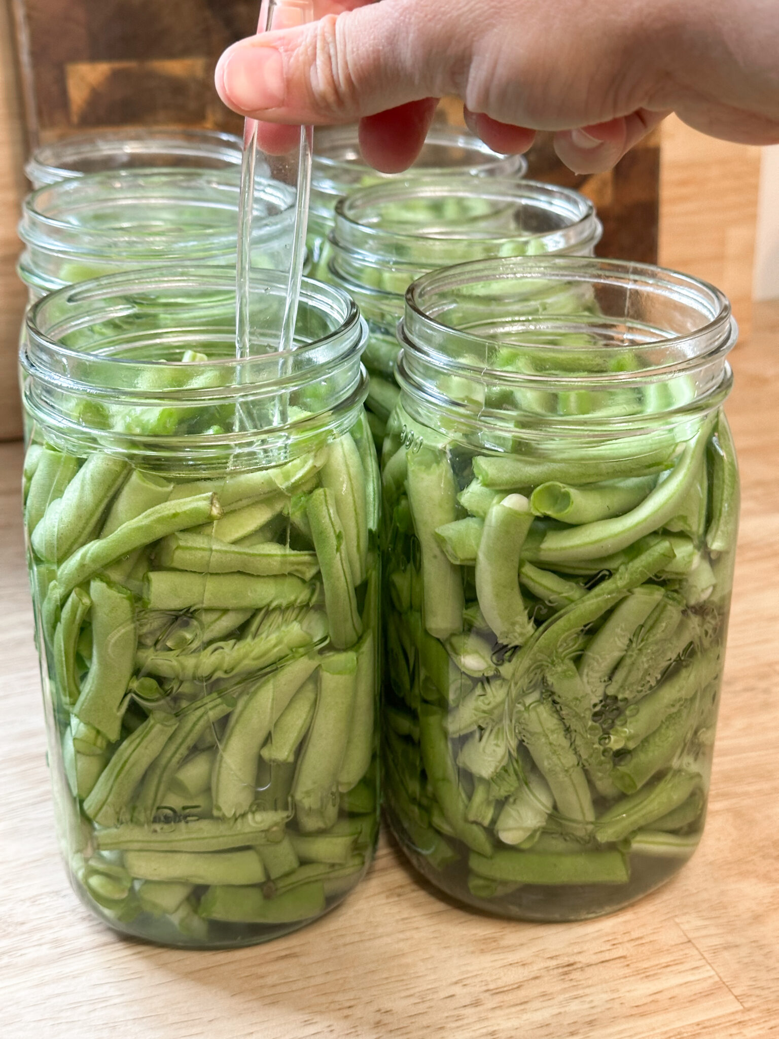Canning Green Beans the Old-Fashioned Way: Easy How to Guide - At Home ...