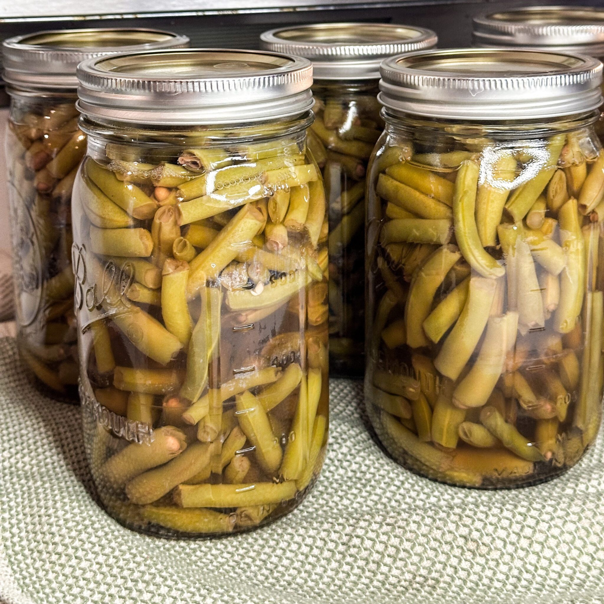 Canning Green Beans the Old-Fashioned Way: Easy How to Guide - At Home ...