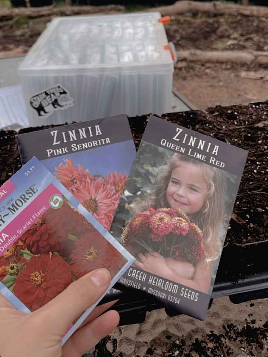 Beginner's Guide to Seed Starting: How to Start Seeds - At Home on the ...