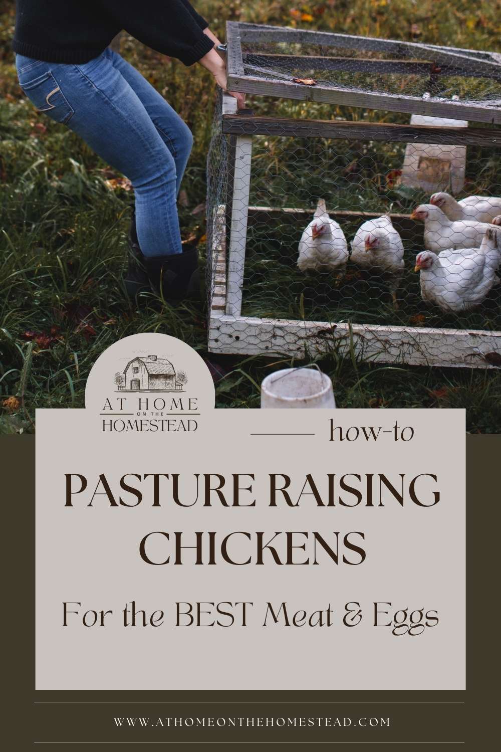 Raising Chickens on Pasture for the BEST Eggs and Meat - At Home on the ...