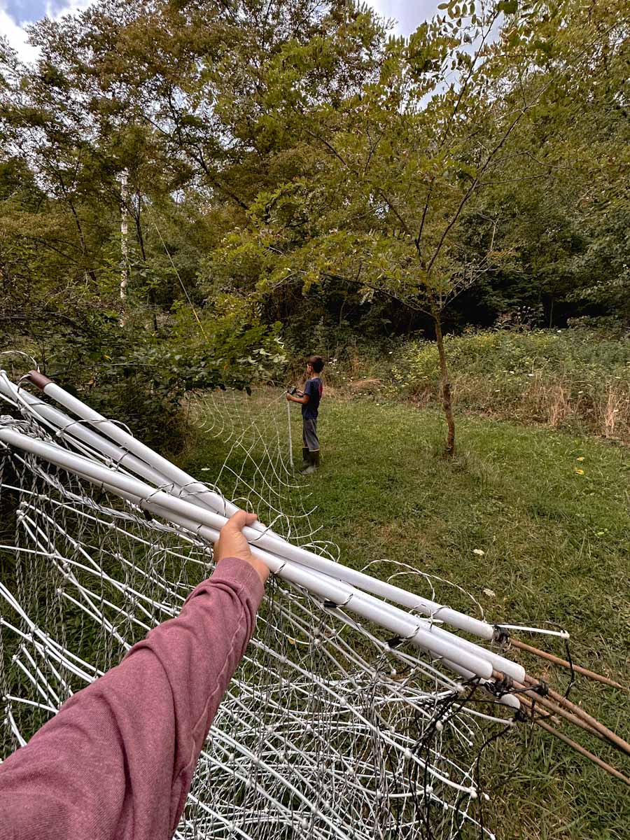 Raising Chickens on Pasture for the BEST Eggs and Meat - At Home on the ...